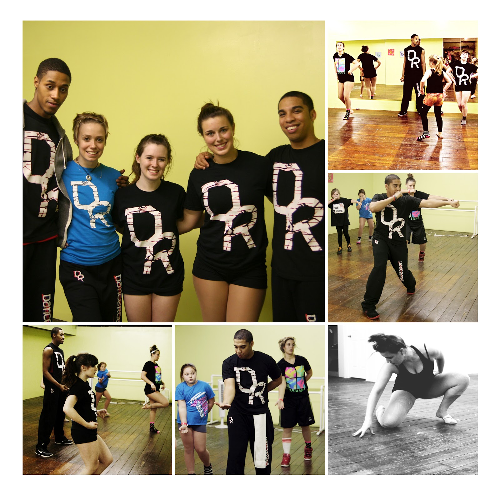 Fierce Dance Academy: Dance Rogue 2012