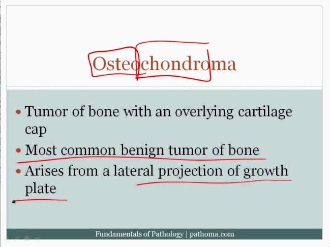 Winding Spiral Case: USMLE Step 1 for Canadians