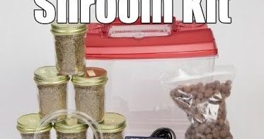 Growing Mushrooms: Growing Mushrooms At Home With Shroom Growing Kit