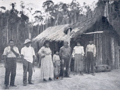 Línguas Brasílicas: Botocudos e puris