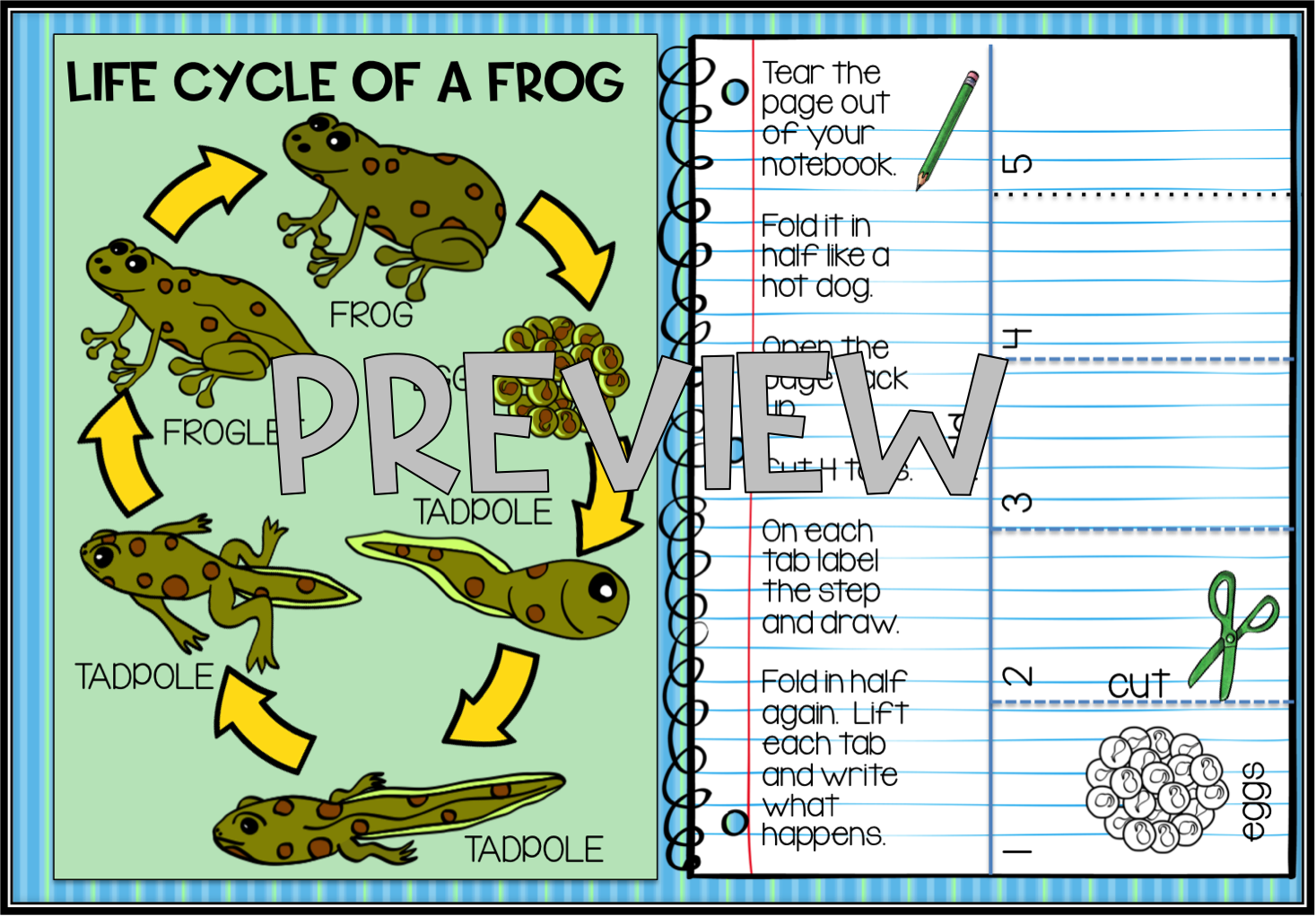 1st Grade Hip Hip Hooray!: Frogs and Toads ... Distance Learning and ...