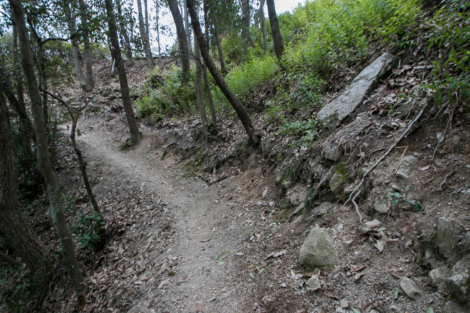 Niitakayama Castle -Intellectual pillar of Mouri clan (2)- | Japan ...