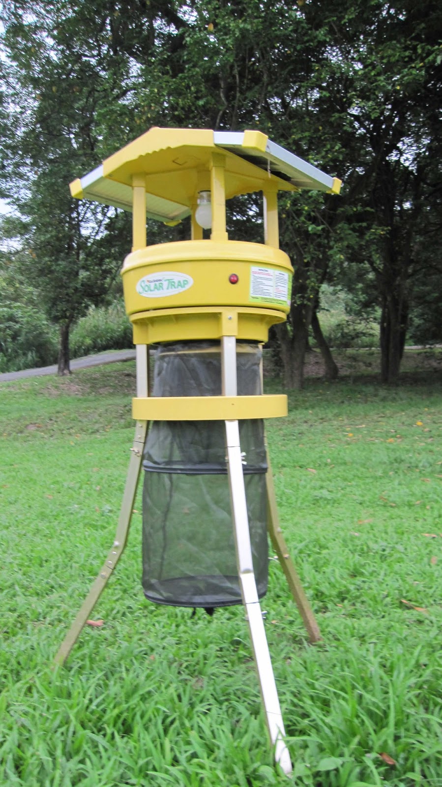 Estudiando Agricultura en Taiwán: Trampas para insectos