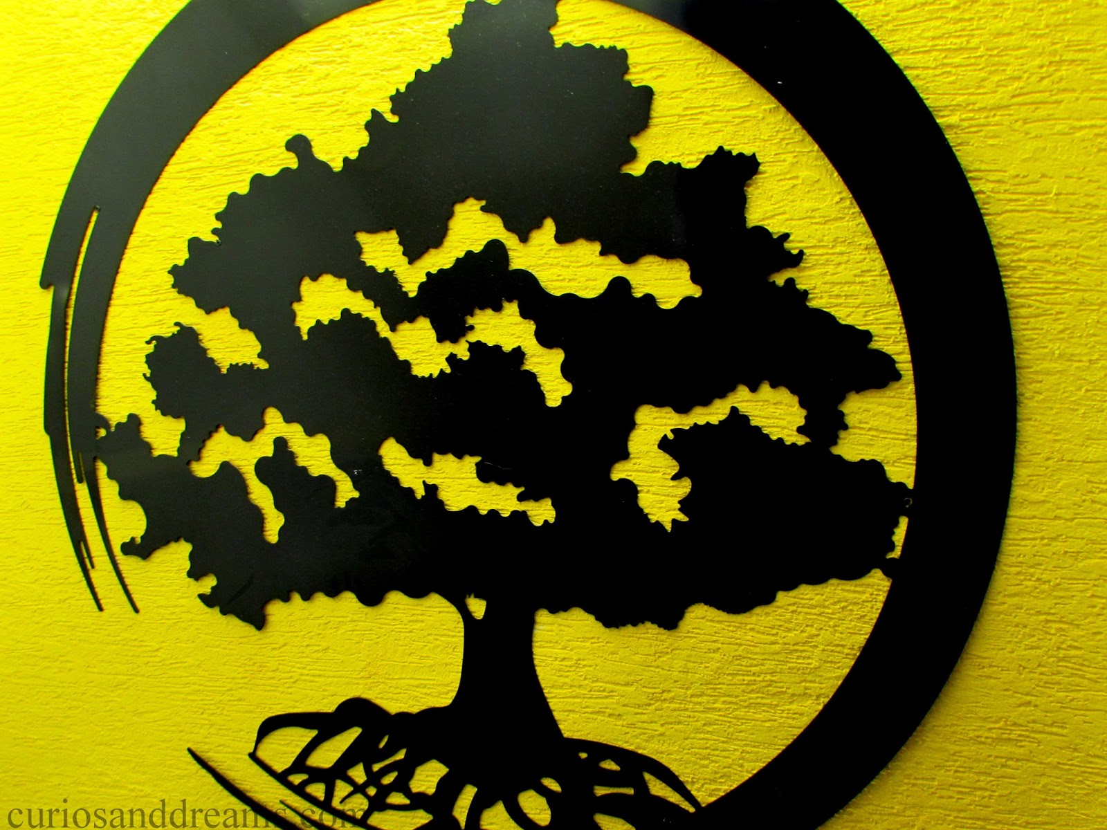 Bee Choo Origin Hair Spa Experience: Hairbitat, Vittal Mallya Road ...