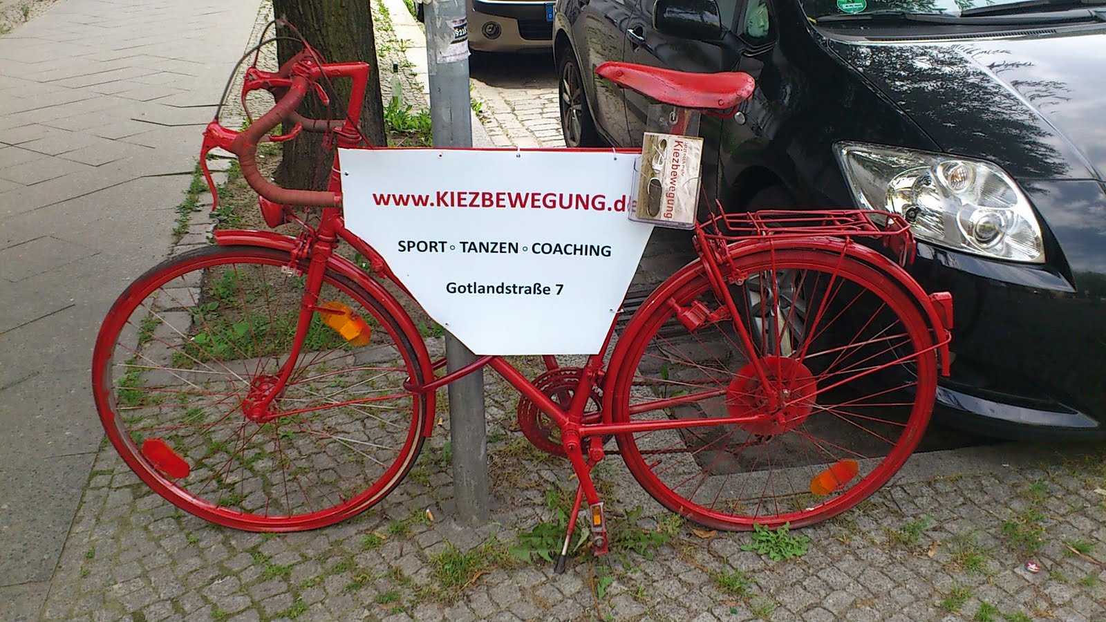 In Colorful Waters: Bicycles Repurposed