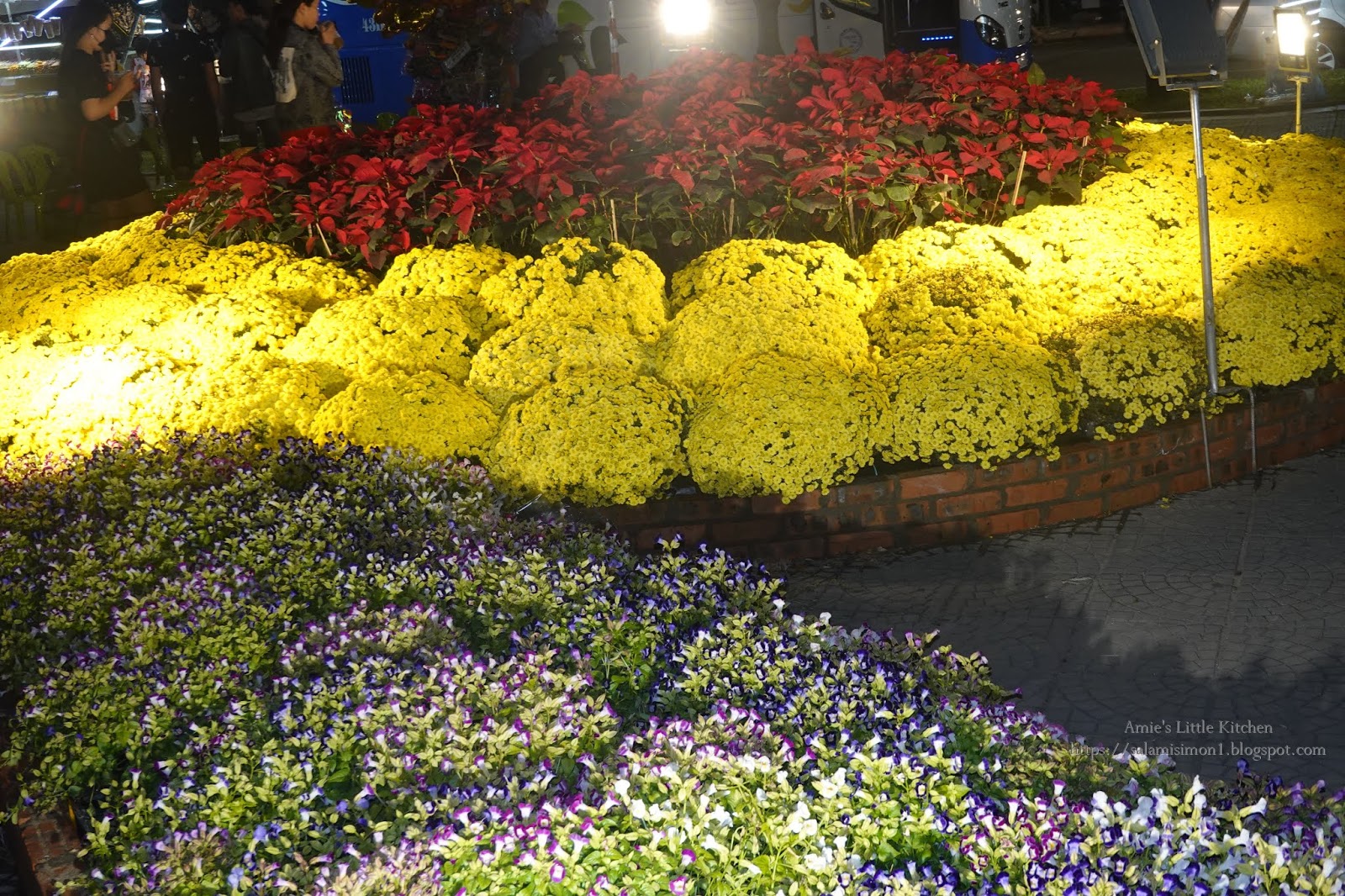 Semburan Bola Api Dari Mulut Naga & Son Tra Night Market - Amie's ...