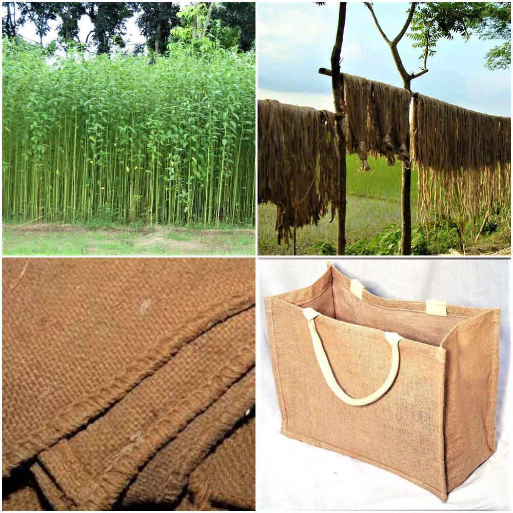 Jute Industry jute-industry