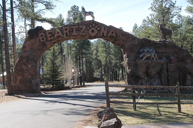 Upon A Dream: Williams, Arizona Part IV ~ Bearizona