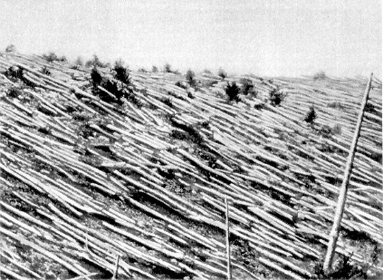 Every Day Is Special: June 30 – Anniversary of the Tunguska Event