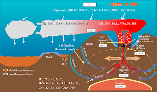 BIOLOGIA PARA A VIDA : FILO ANELÍDEOS