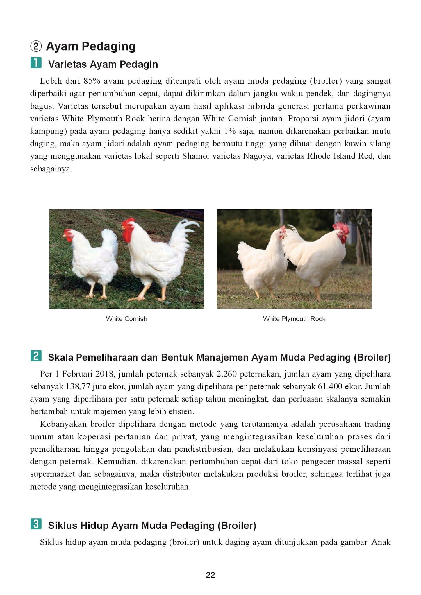 PETERNAKAN BAHASA INDONESIA