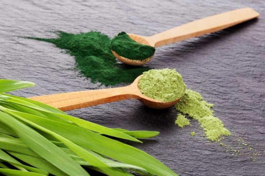 BenveNutri: Chlorella