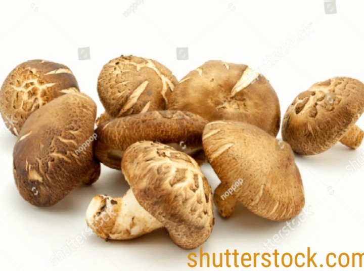 Fakta, Macam Jenis dan Manfaat Jamur