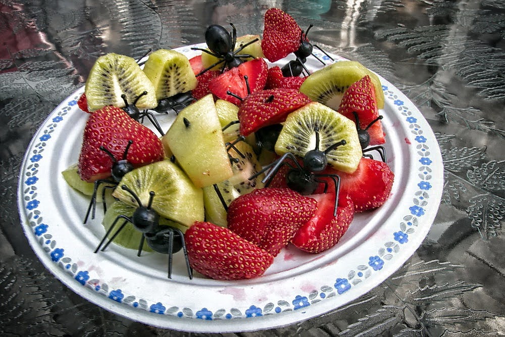 Eye Candy: Fruit & Ants