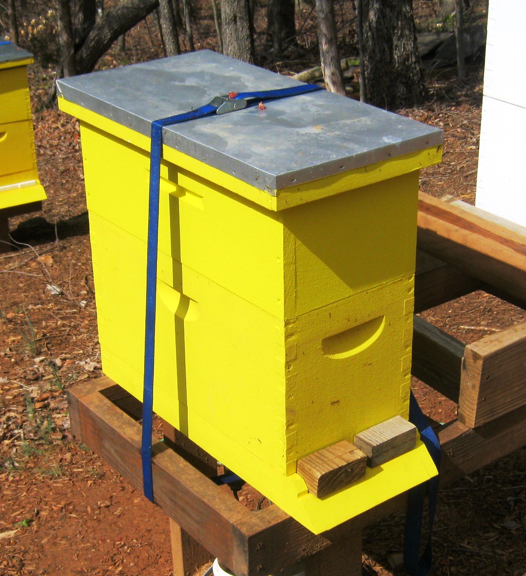 Beaver Creek Bees: Quick Peek & Brood boxes