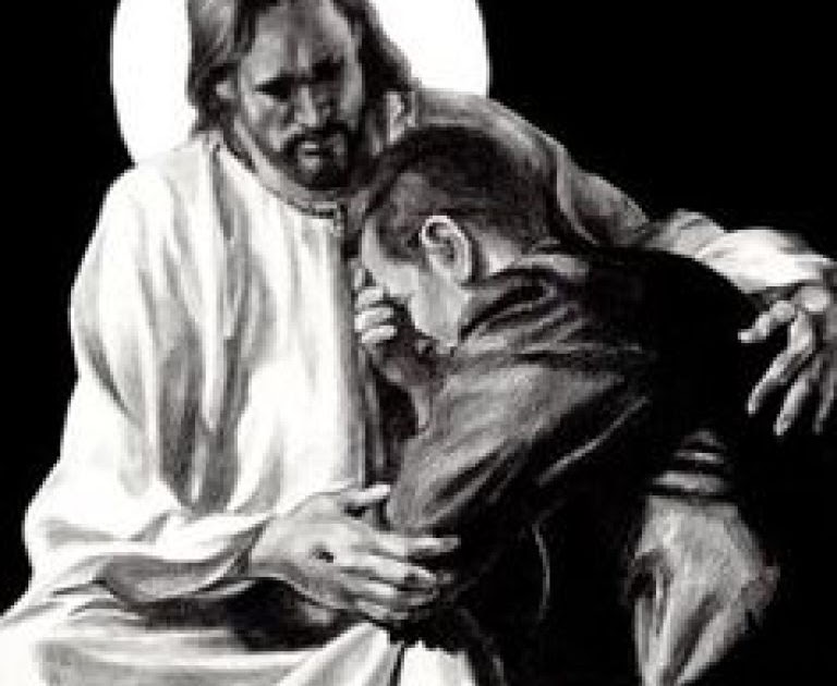 La luz que a través de las sombras logra llegar hasta el jardín de mi ...