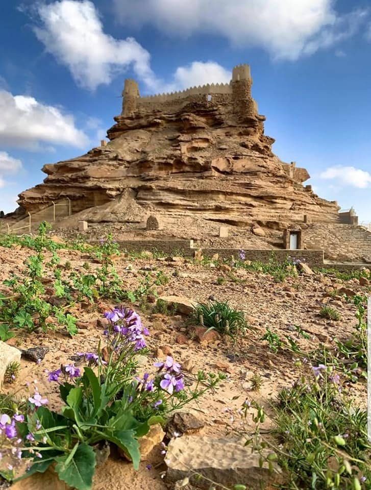 Какво не знаете за Саудитска Арабия: Замъкът Заабал е замък в северната ...