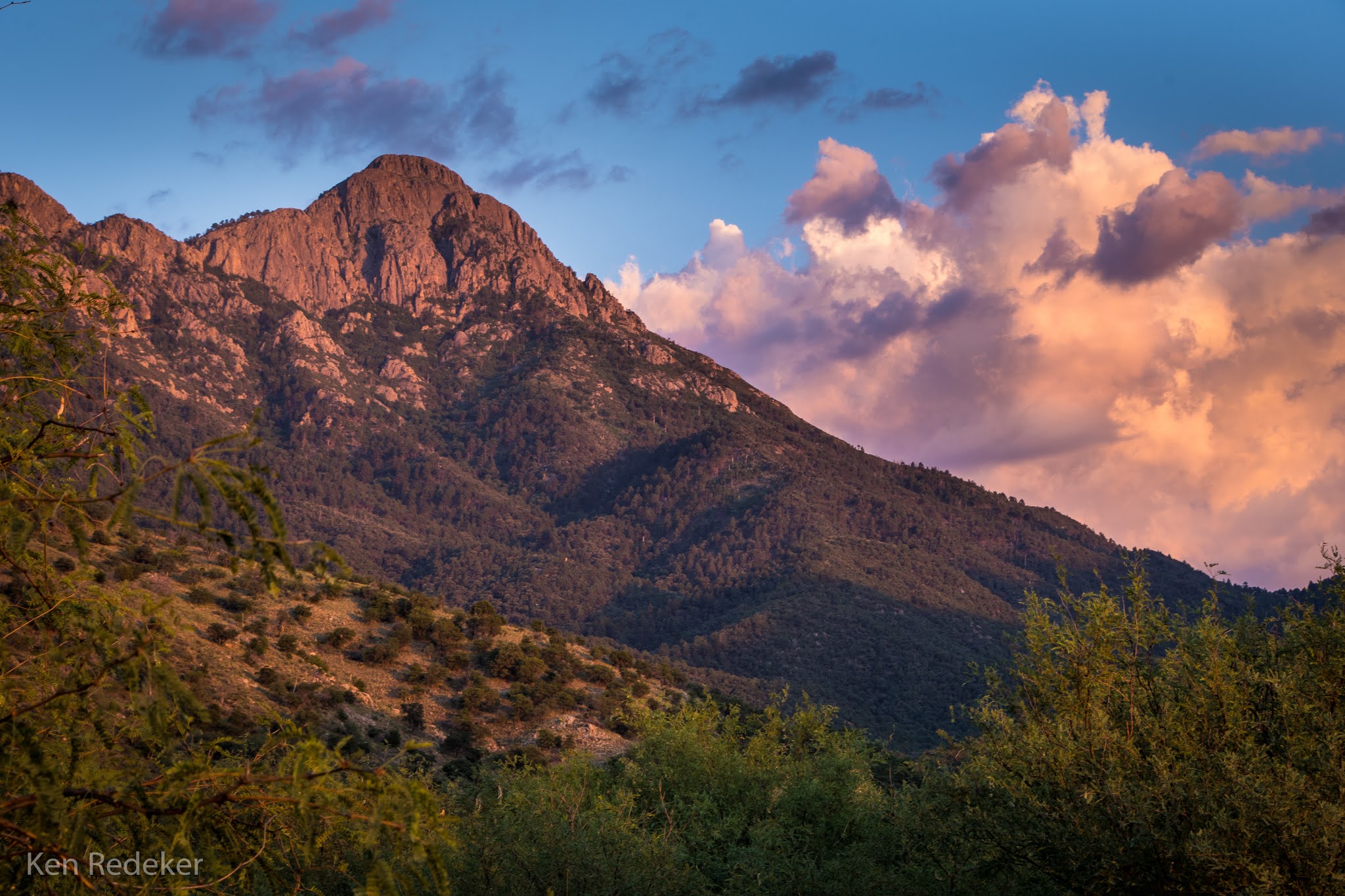 The Adventures of Ken: Madera Canyon - Santa Rita Mountains