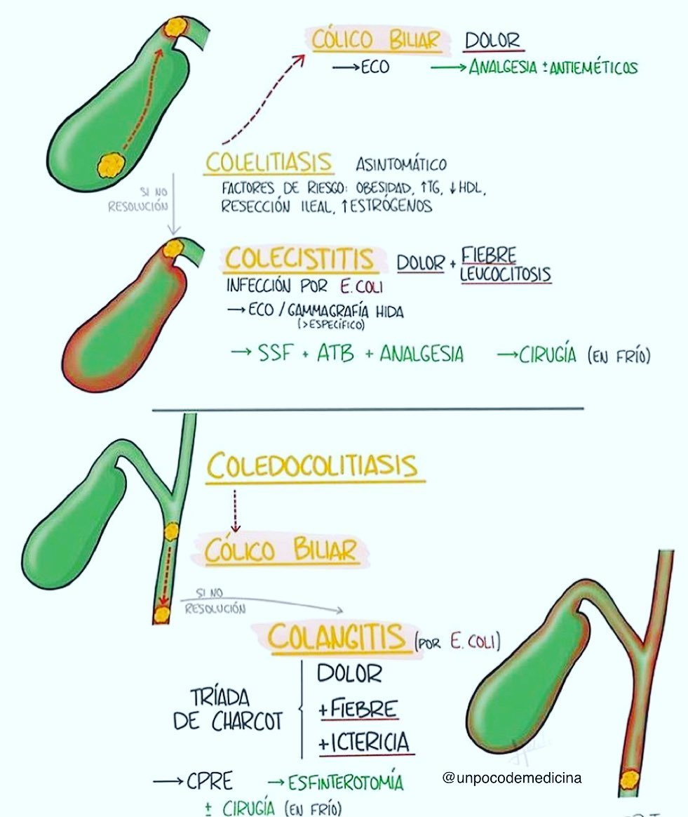 LITIASIS VESICULAR: DEFINICIÓN