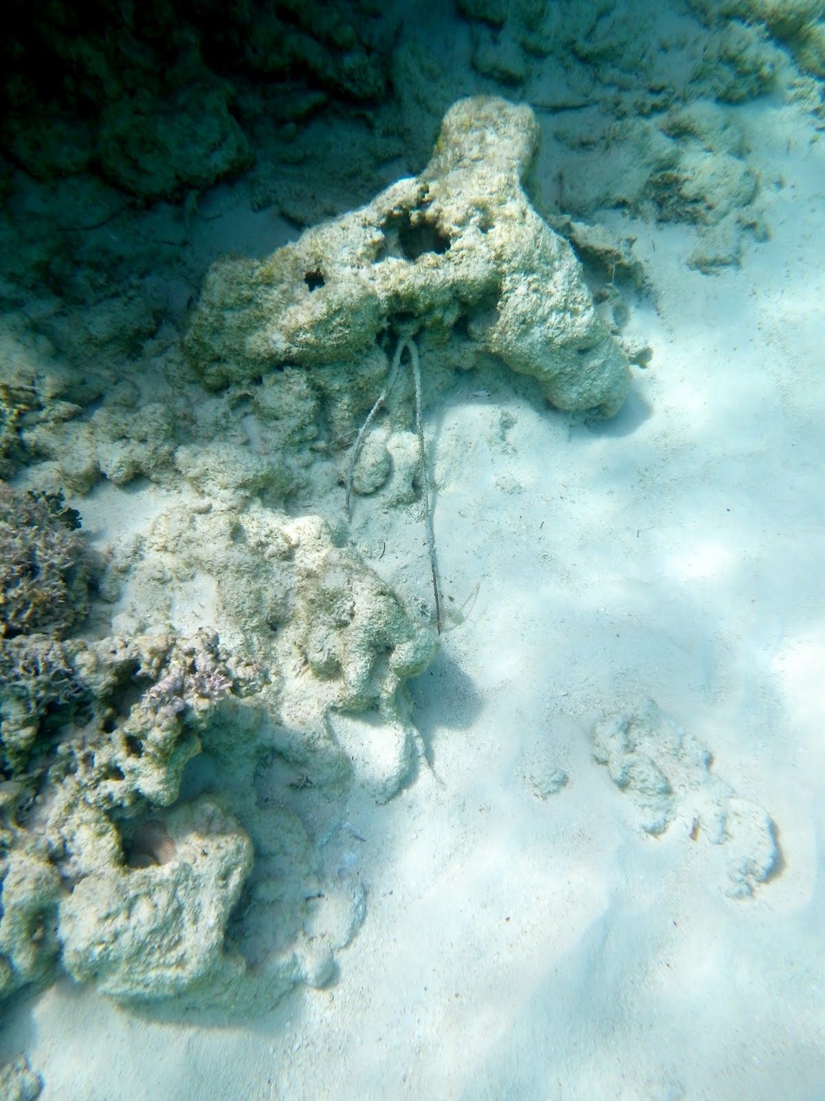 S/V WAHOO: Cruising the Exuma Chain
