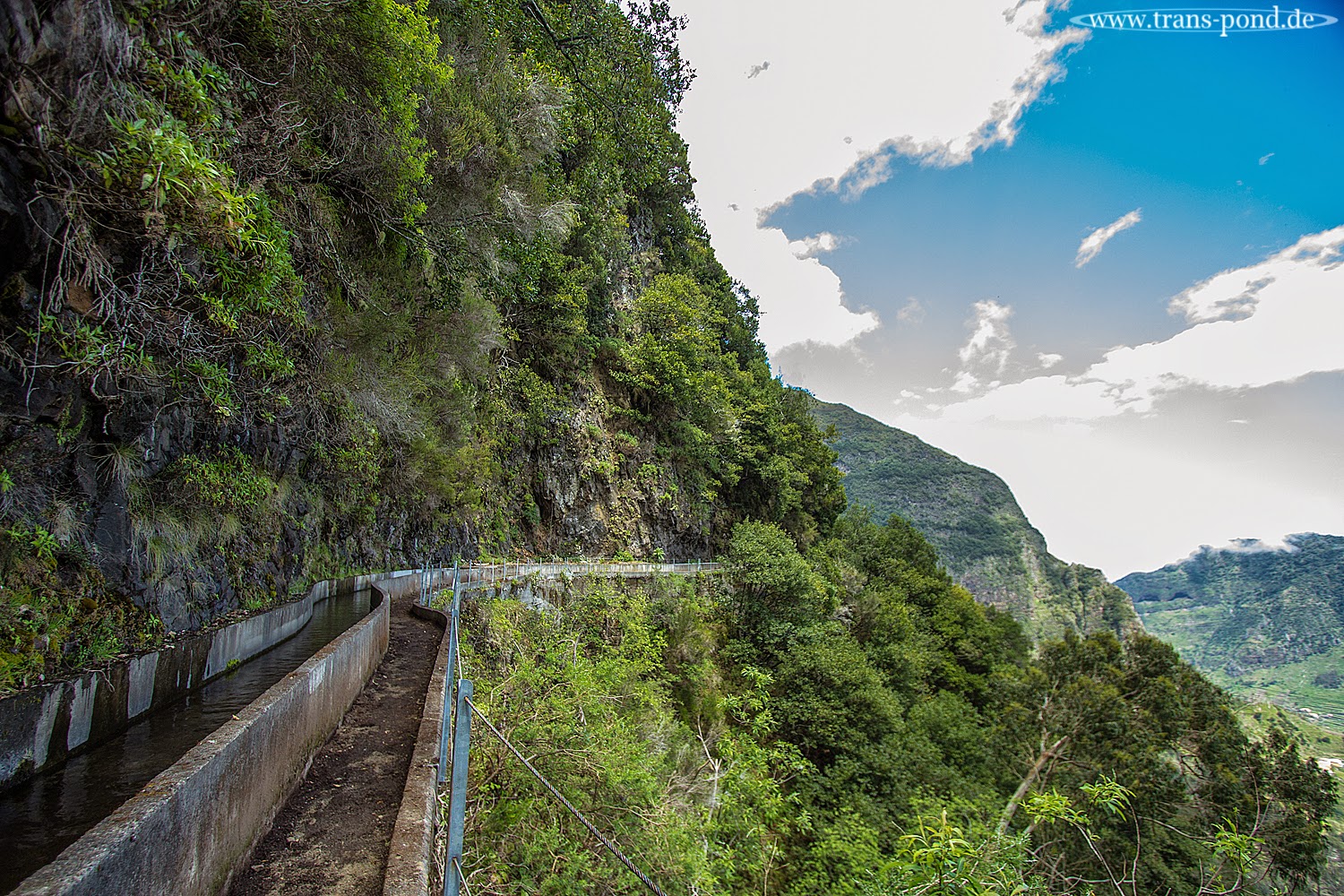 Trans Pond: May 2014