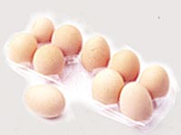 Telur | semua hal tentang telur - Welcome to my kitchen