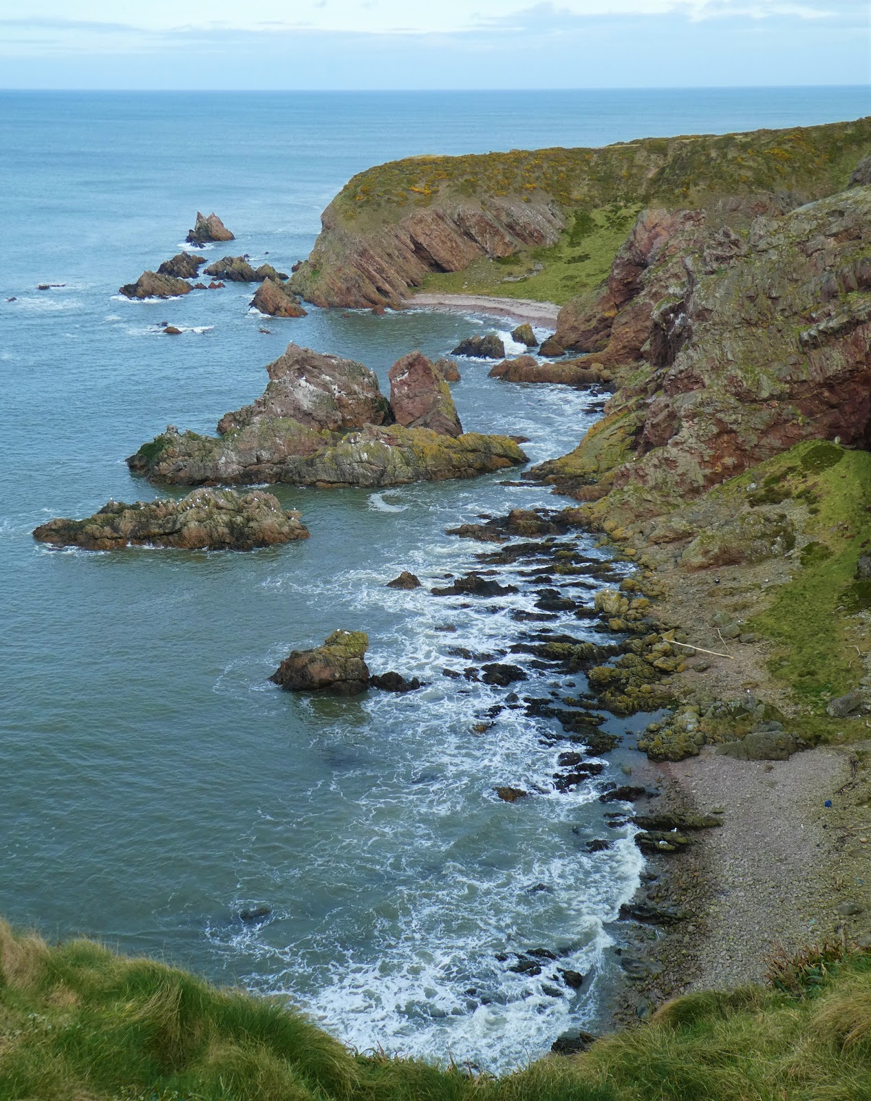 Big Gorse Bush: Spey Bay to Cullen - the last bit of the Moray Coast Trail