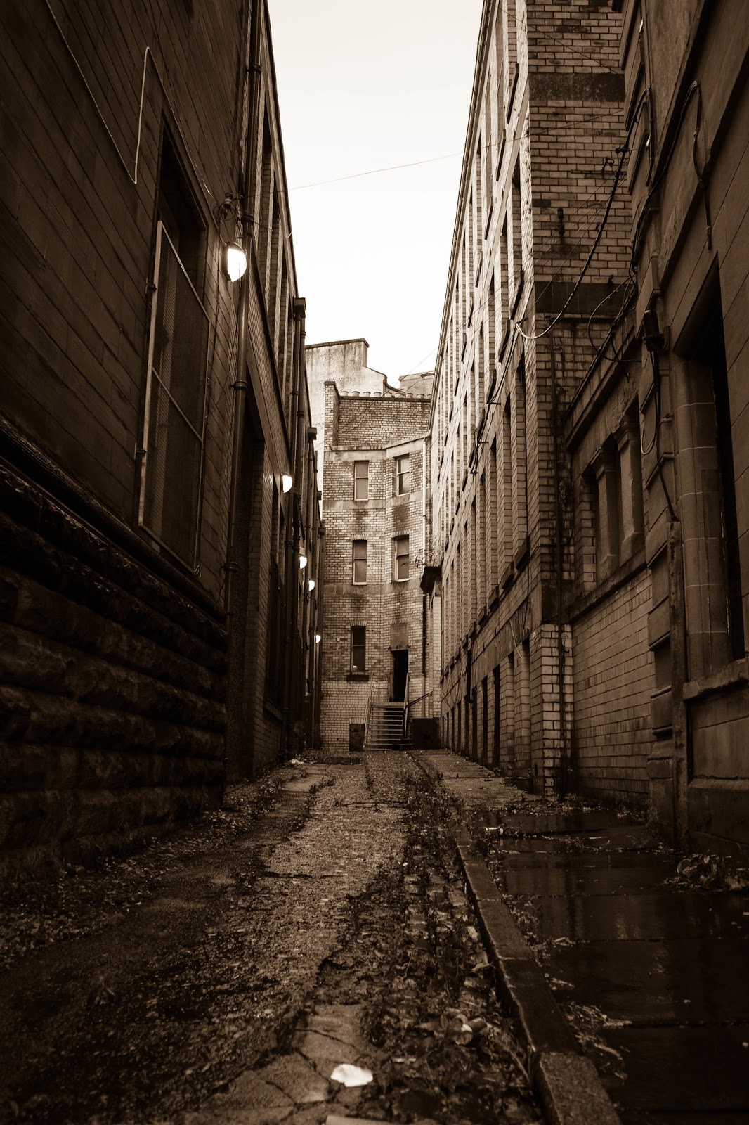 "Right up my alley" nghĩa là gì?