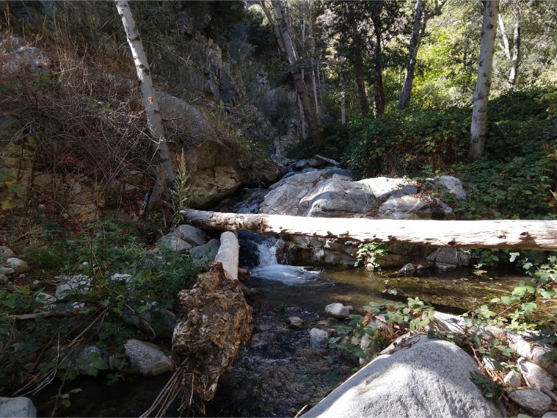 Recovering Trout Stream in Southern California - Hunting the River King