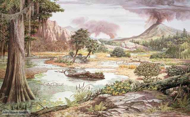 Paleobotany: CRETACEOUS PERIOD ~ 145–66 million years ago