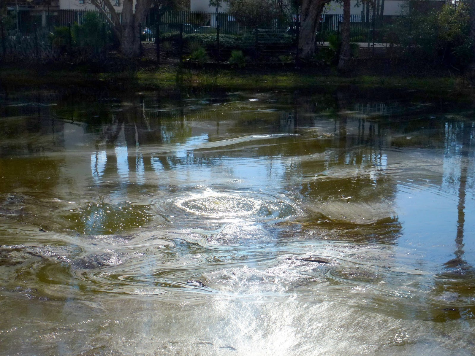 The The Tar Tar Pits | Tallulah Goes Places