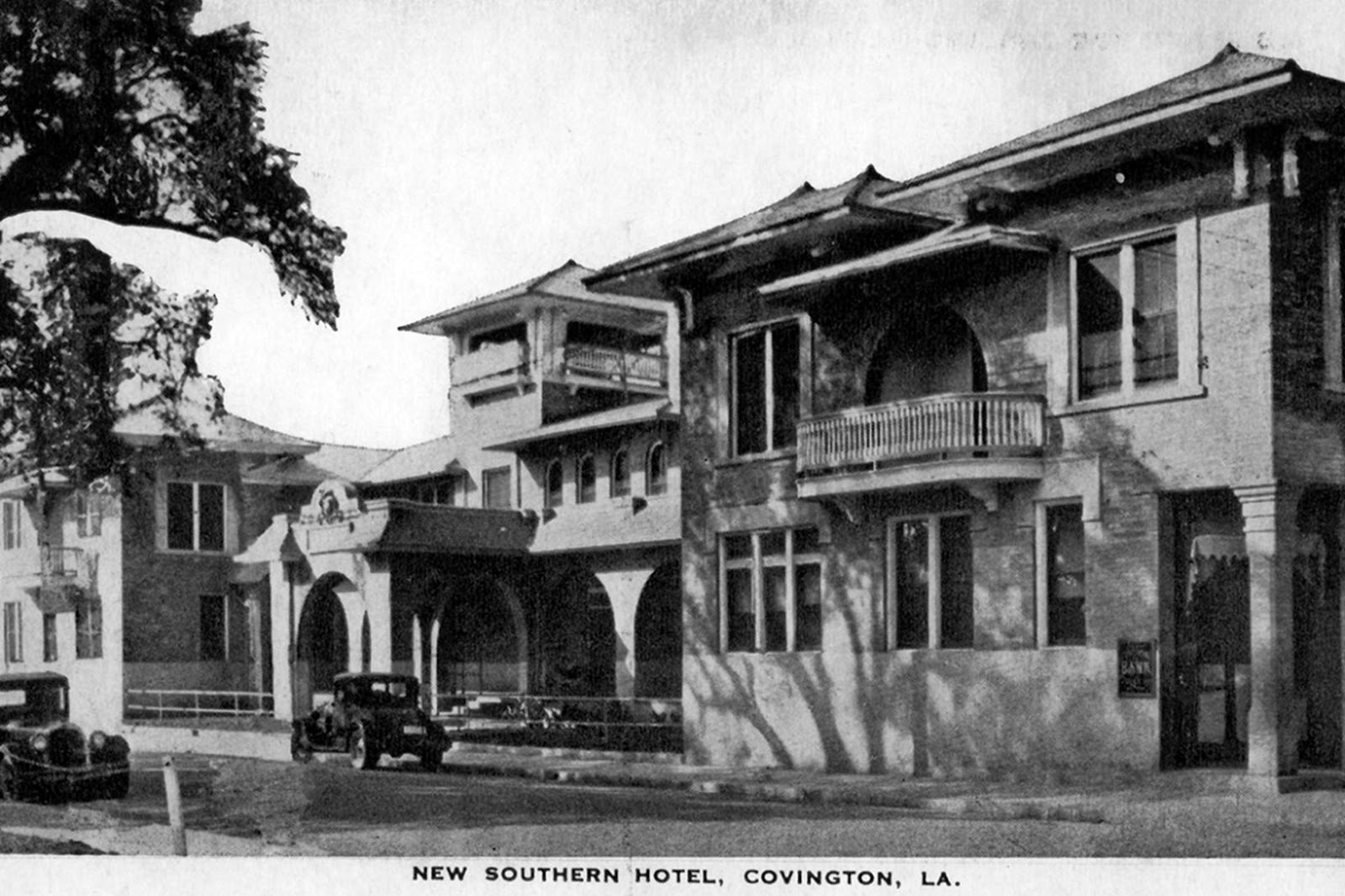Tammany Family: The Saga of the Southern Hotel