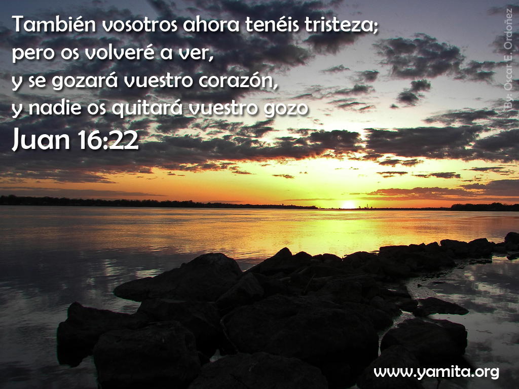 Juan 16-22 ~ Motimagen