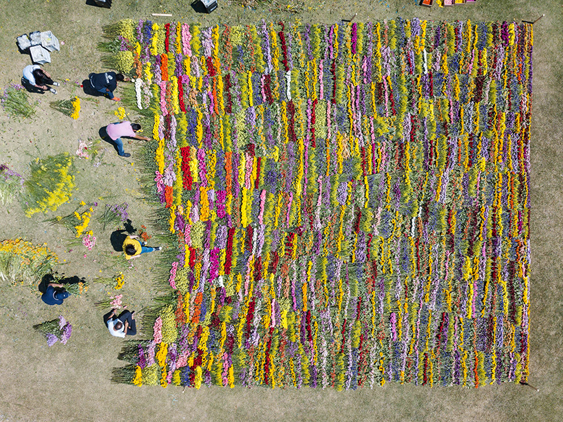 Nag on the Lake: Experiments With Decomposing Flowers