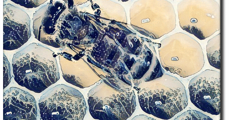 What happened to Eve Frank in 1817?