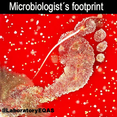Medical Laboratory and Biomedical Science: Microbiologist´s footprint