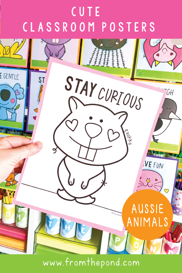 Cute Classroom Posters | From the Pond