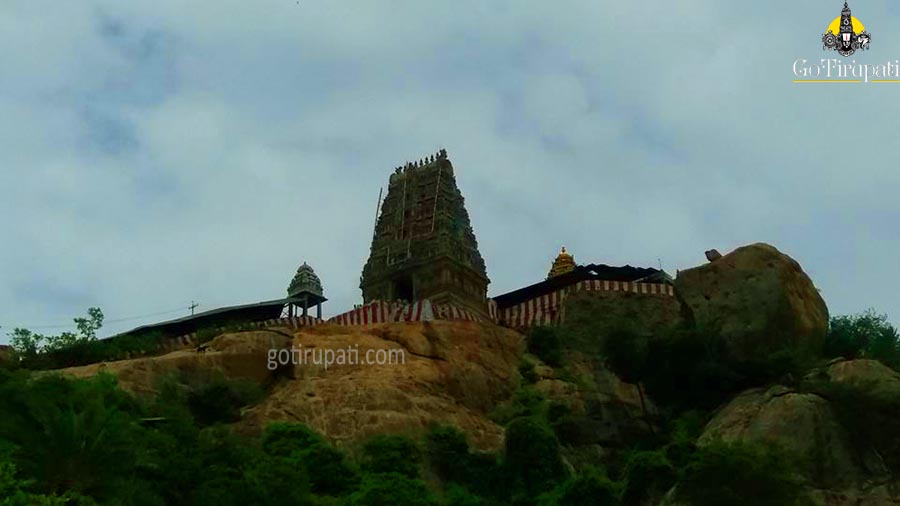 GoTirupati: Sholingur Narasimha Temple