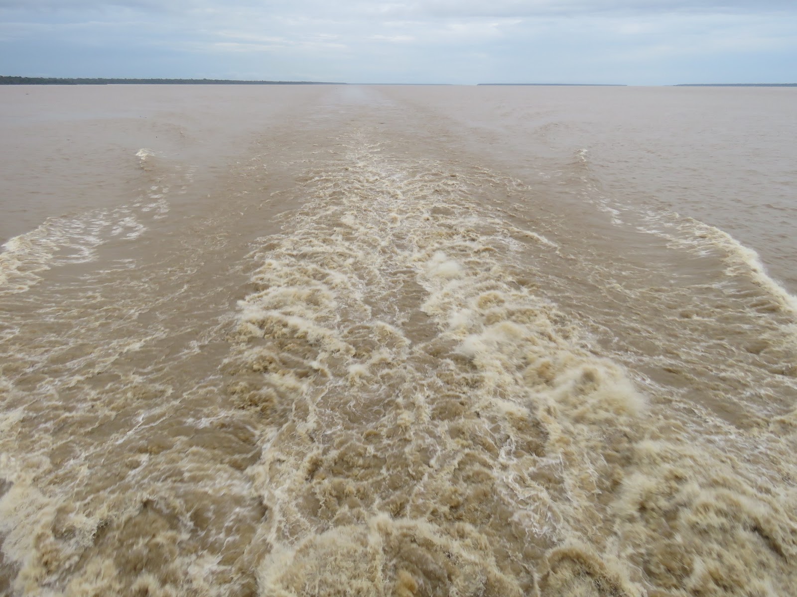 B&Y All at Sea: Days 20 and 21 - Amazon River