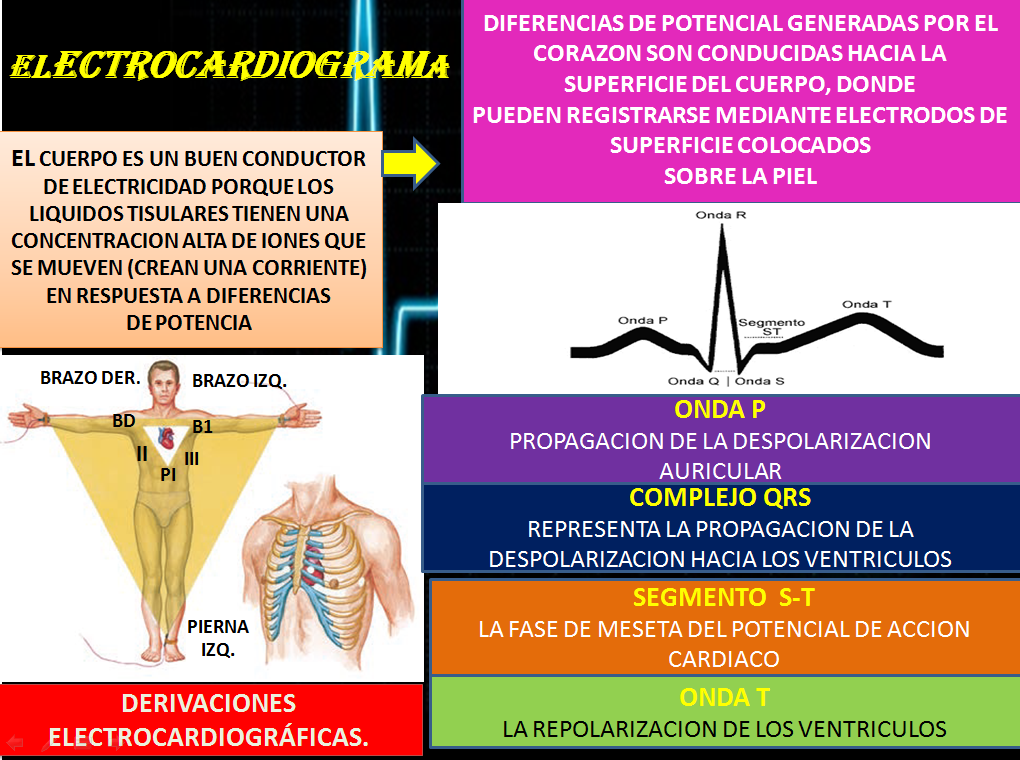 FISIOLOGIA: ELECTROCARDIOGRAMA Y LOS CINCO EJEMPLOS DE ELECTROCARDIOGRAMAS