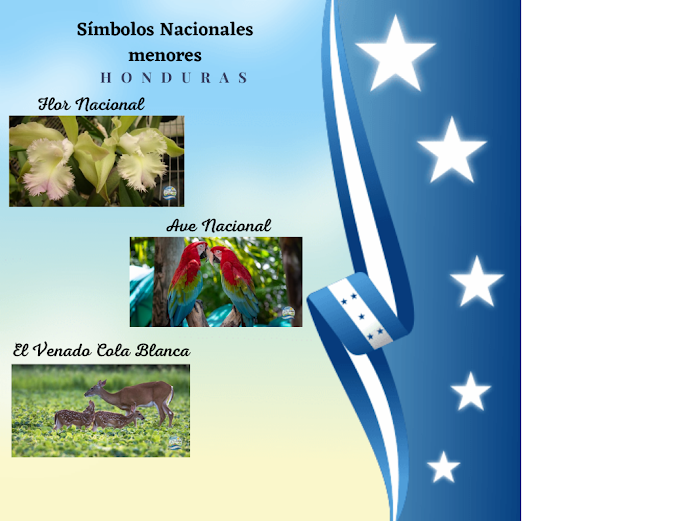 Conociendo a Honduras : Cuadros de Símbolos Patrios