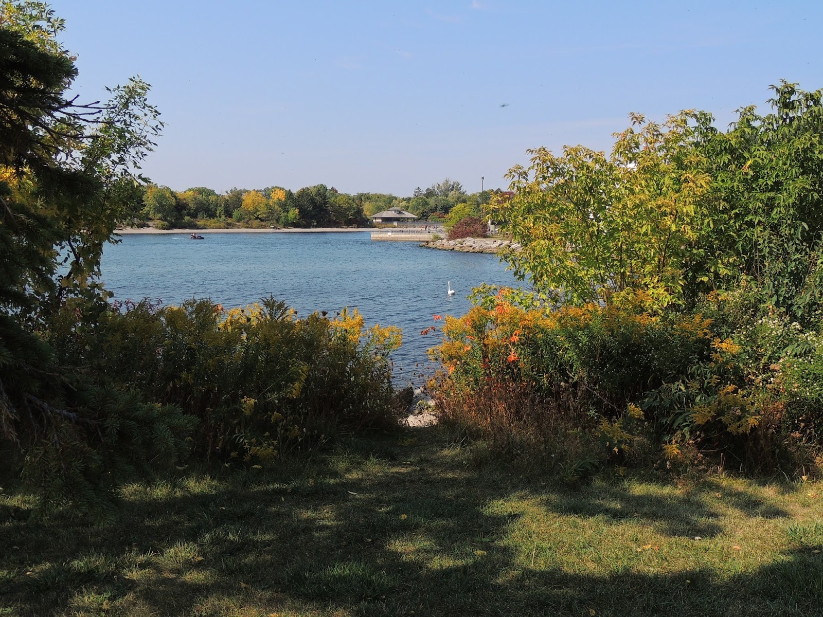 Teena in Toronto: Lakefront Promenade Park, Mississauga, ON