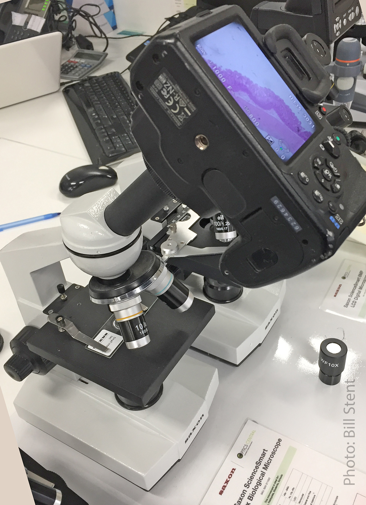 How to put a DSLR camera on a microscope