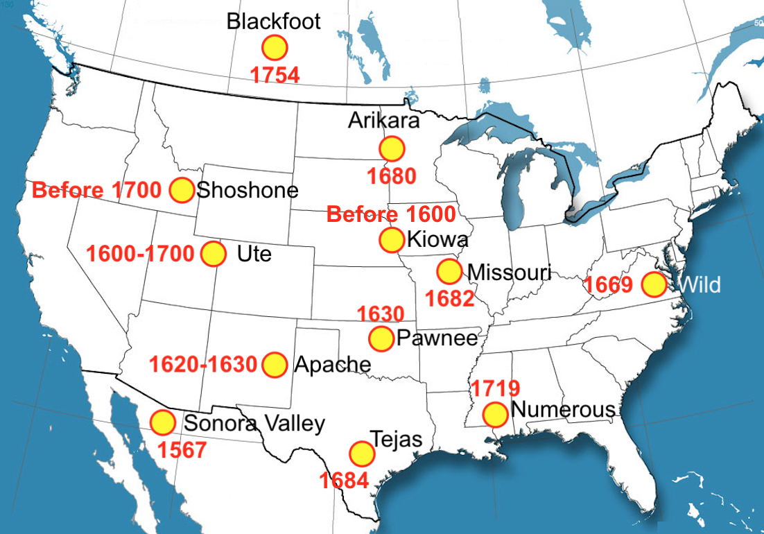 NephiCode: The Development of Horses in America – Part II