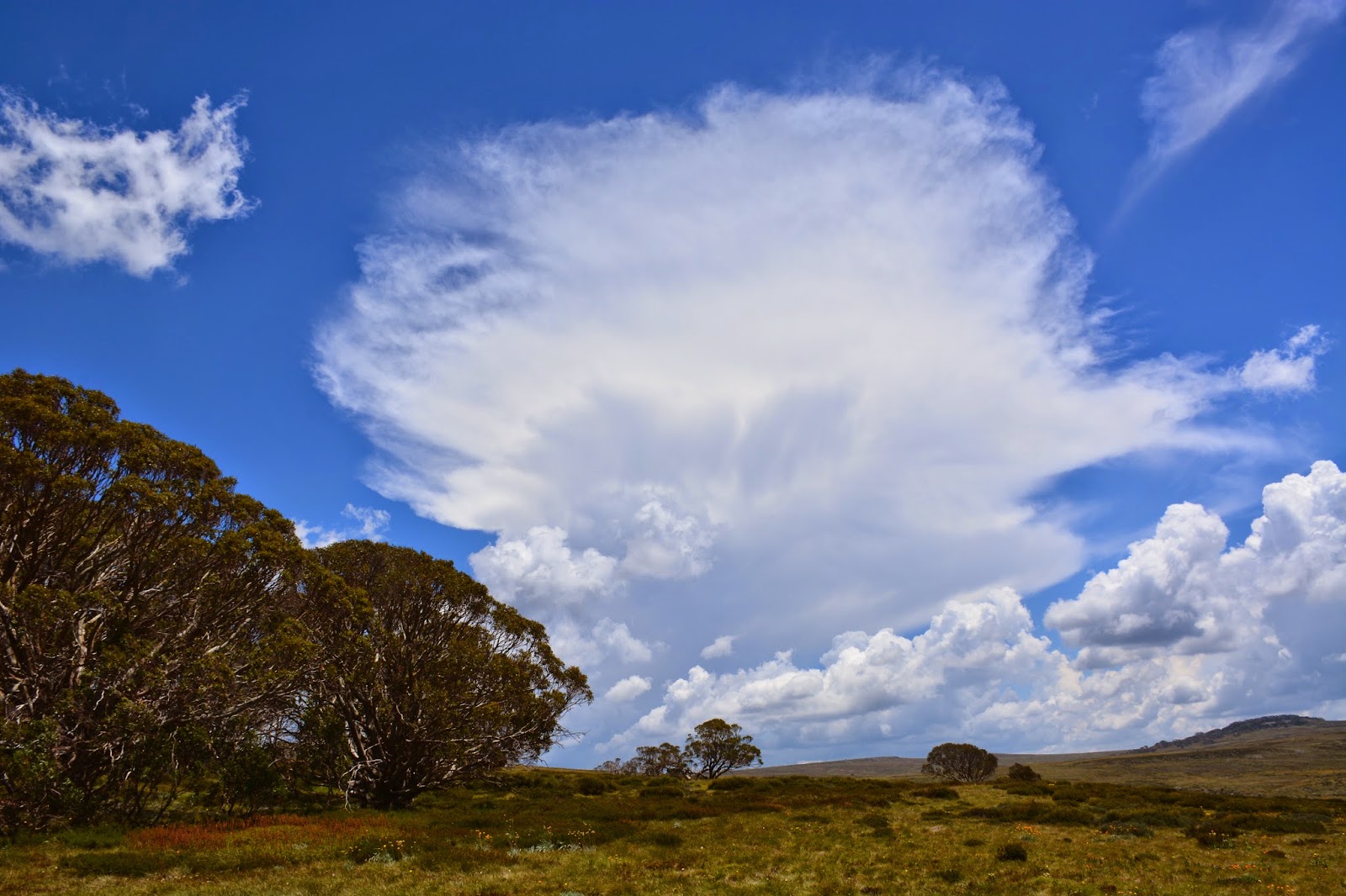 walkabouters club of victoria inc: Falls Creek Summer Camp - Bogong ...