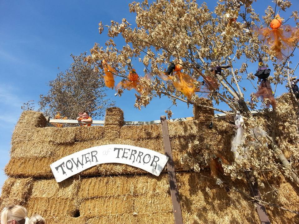 Play St. Louis: Thies Farm (Pumpkinland), Maryland Heights