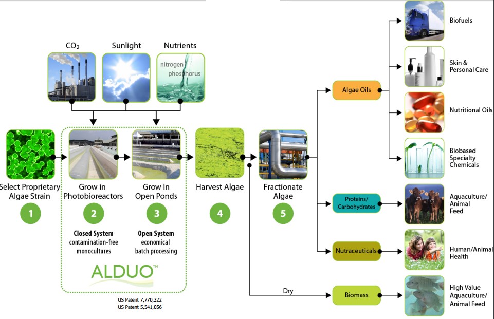 Kona Demonstration Facility (KDF) - Cellana’s algal demonstration ...