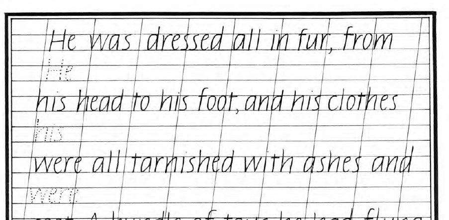 Homestead Bounty Blessings: Perfect Reading, Beautiful Handwriting REVIEW