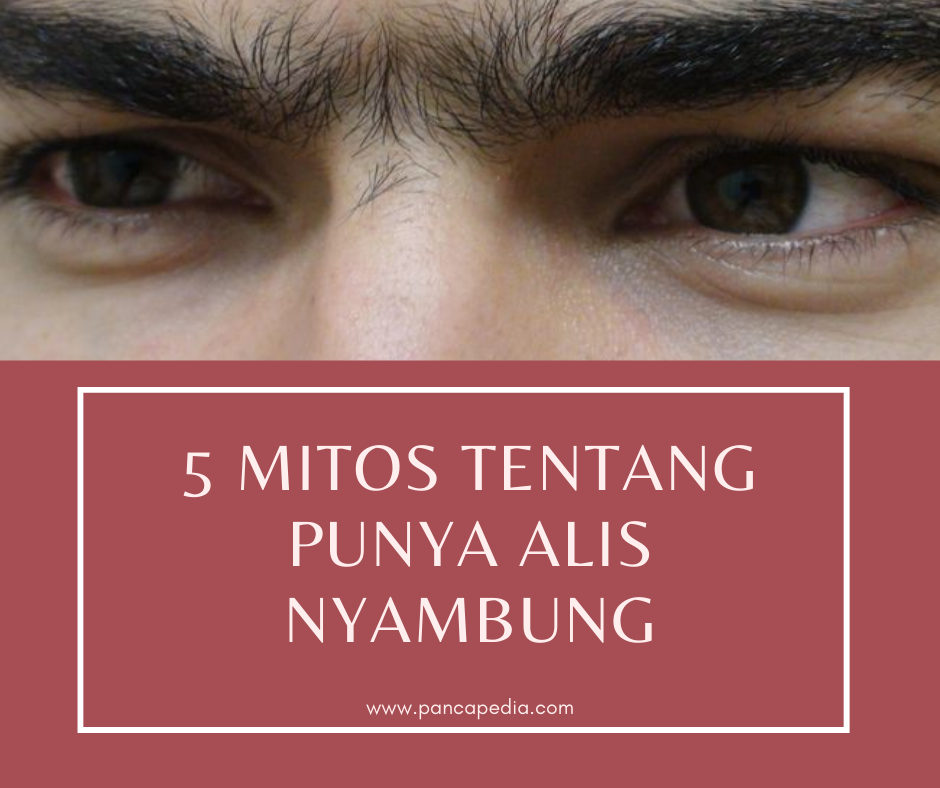 5 Mitos Tentang Punya Alis Nyambung - Pancapedia 5 Mitos Tentang Punya Alis Nyambung - Pancapedia