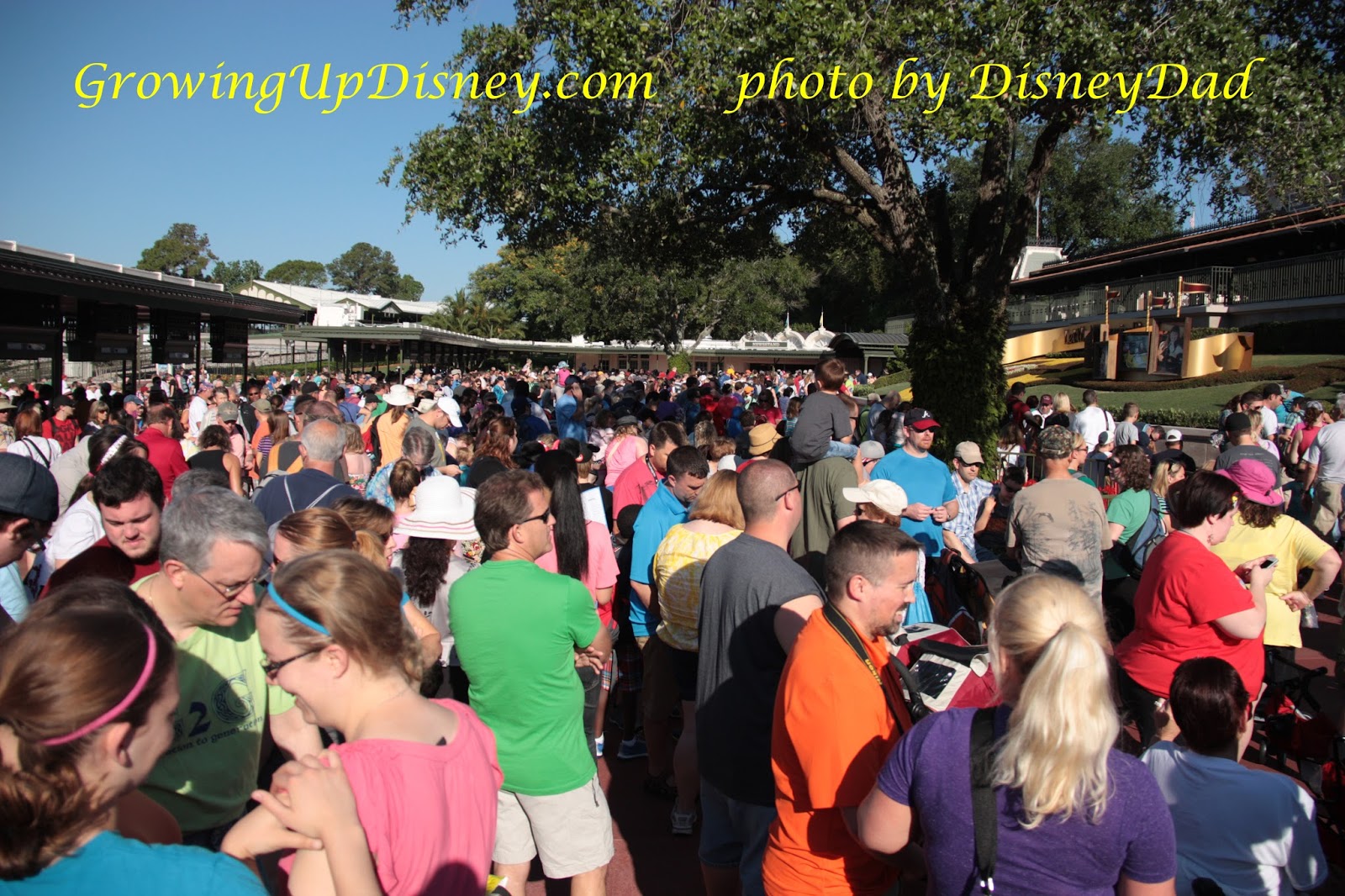 Growing Up Disney: Five Photos: Rope Drop at the Magic Kingdom